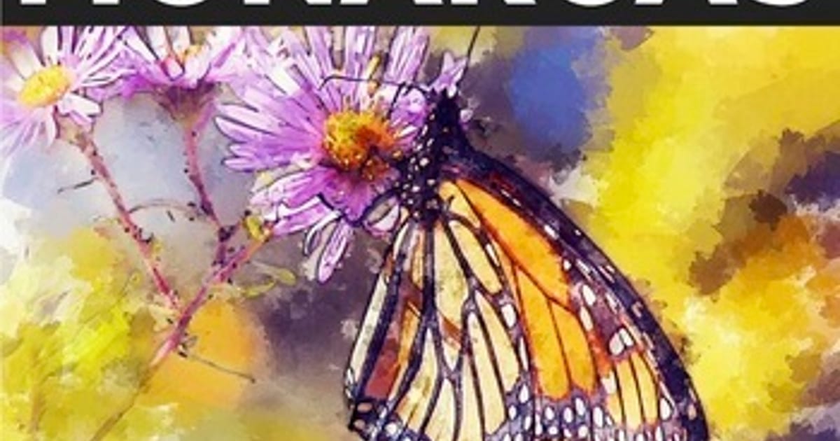 The Comprehensible Classroom | Las mariposas monarcas