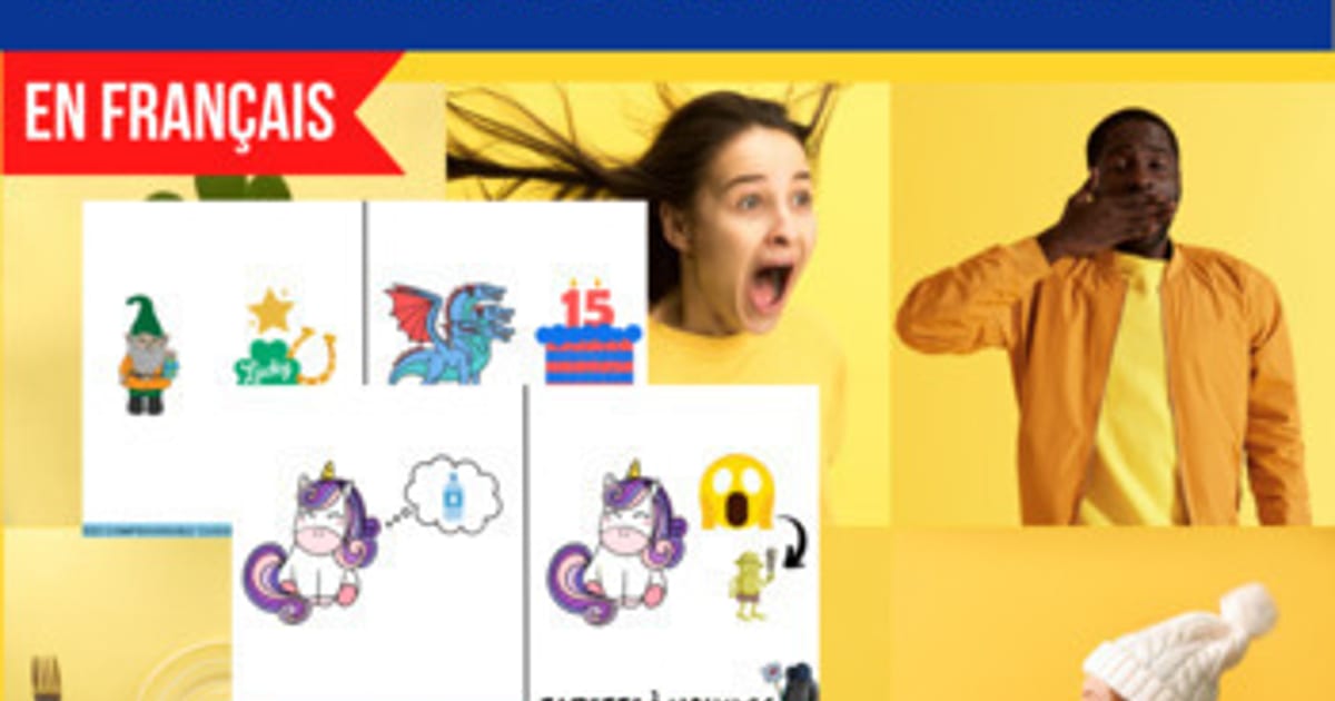 The Comprehensible Classroom | Tapette à mouches | Avoir expressions