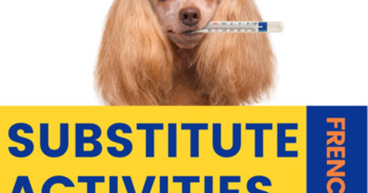 The Comprehensible Classroom | French Substitute Activities Set #6